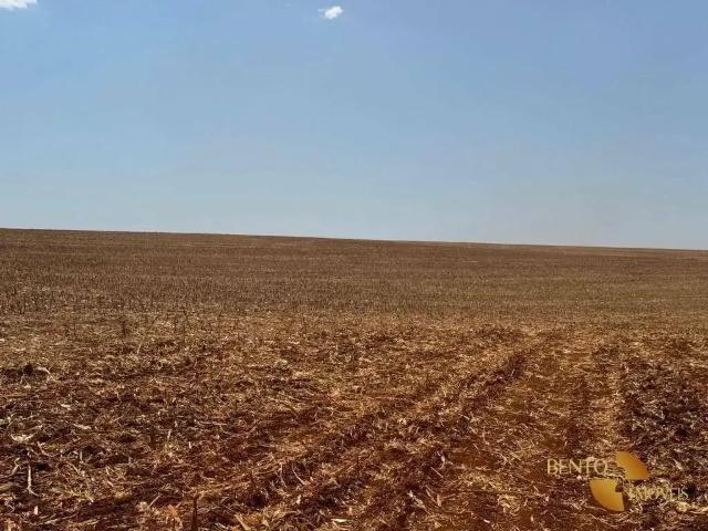 Fazenda para Venda em Nova Mutum/MT Zona Rural