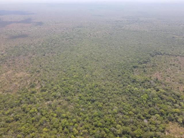Fazenda para Venda em Nova Nazaré/MT Centro