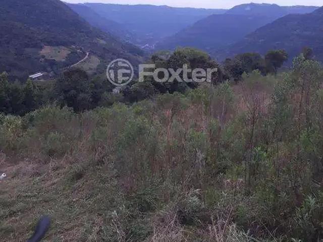 Fazenda para Venda em Nova Petrópolis/RS Centro