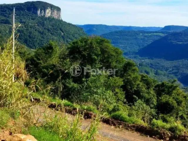 Fazenda para Venda em Nova Petrópolis/RS Linha Brasil Fundos