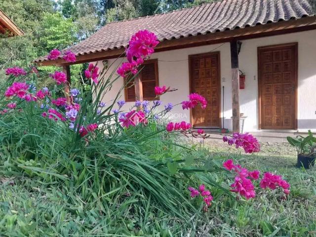 Fazenda para Venda em Nova Petrópolis/RS Pinhal Alto 7 Quartos
