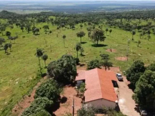 Fazenda para Venda em Nova Roma/GO Zona Rural