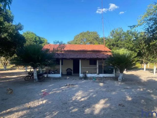 Fazenda para Venda em Novo Acordo/TO Zona Rural