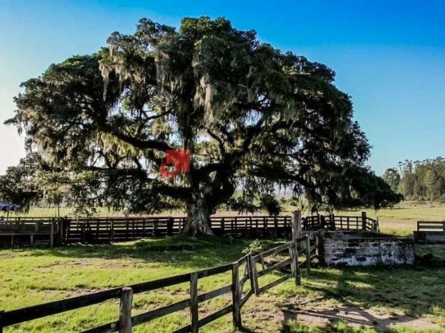 Fazenda para Venda em Novo Hamburgo/RS Lomba Grande