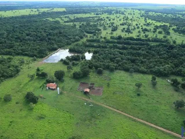Fazenda para Venda em Novo Planalto/GO Área Rural de Novo Planalto