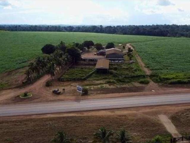 Fazenda para Venda em Novo Progresso/PA Centro 3 Quartos