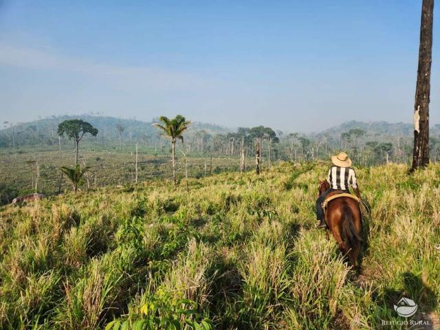 Fazenda para Venda em Novo Progresso/PA Centro 1 Quartos