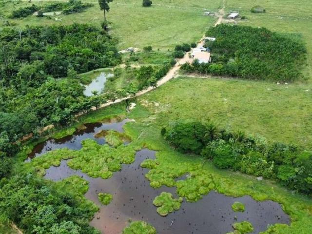 Fazenda para Venda em Novo Progresso/PA Centro 1 Quartos