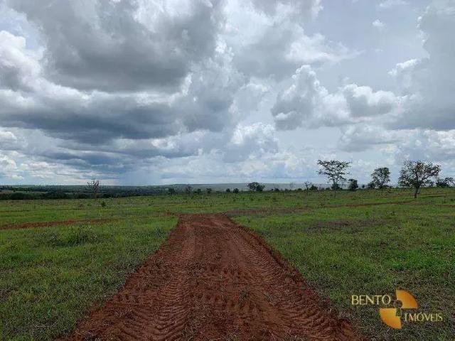 Fazenda para Venda em Novo São Joaquim/MT Zona Rural