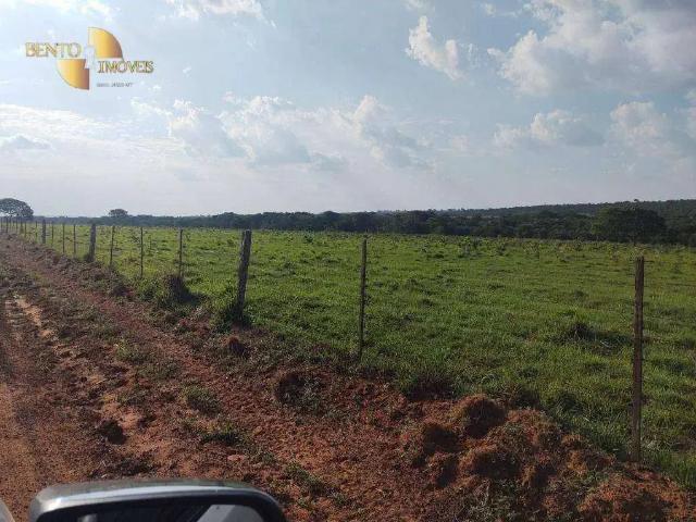 Fazenda para Venda em Nobres/MT Bom Jardim