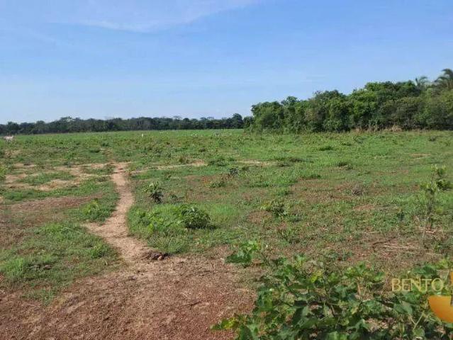 Fazenda para Venda em Nobres/MT Zona Rural