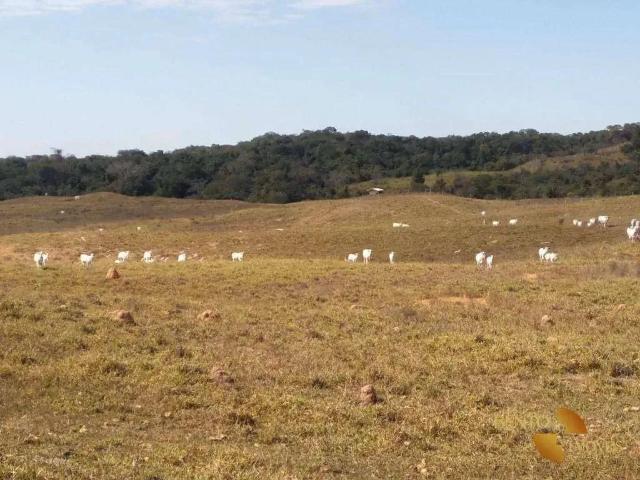 Fazenda para Venda em Nobres/MT Zona Rural