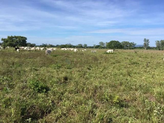 Fazenda para Venda em Nobres/MT Zona Rural 3 Quartos