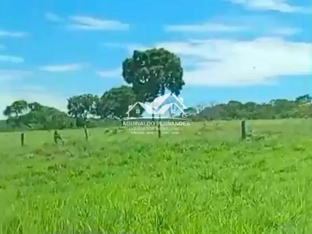 Fazenda para Venda em Nossa Senhora do Livramento/MT Faval