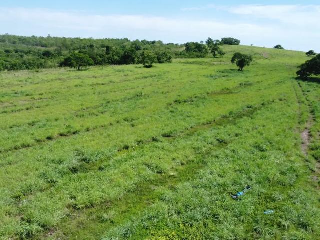 Fazenda para Venda em Nossa Senhora do Livramento/MT Zona Rural