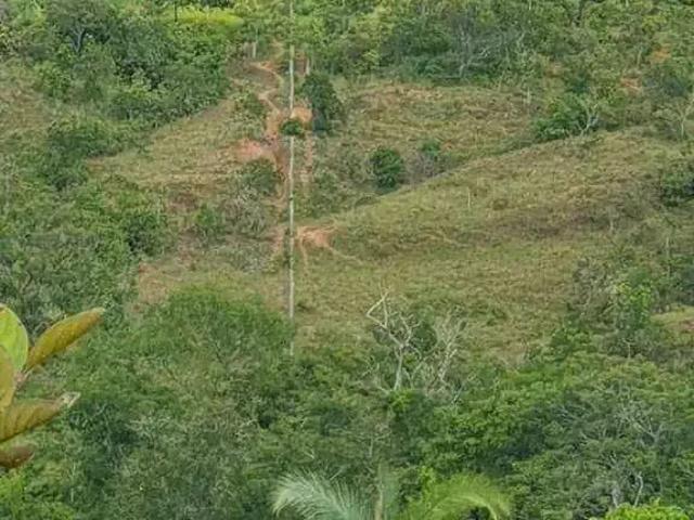 Fazenda para Venda em Nossa Senhora do Livramento/MT Zona Rural