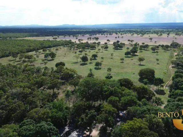 Fazenda para Venda em Nossa Senhora do Livramento/MT Zona Rural