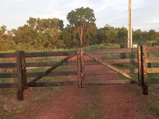 Fazenda para Venda em Nossa Senhora do Livramento/MT Zona Rural 3 Quartos