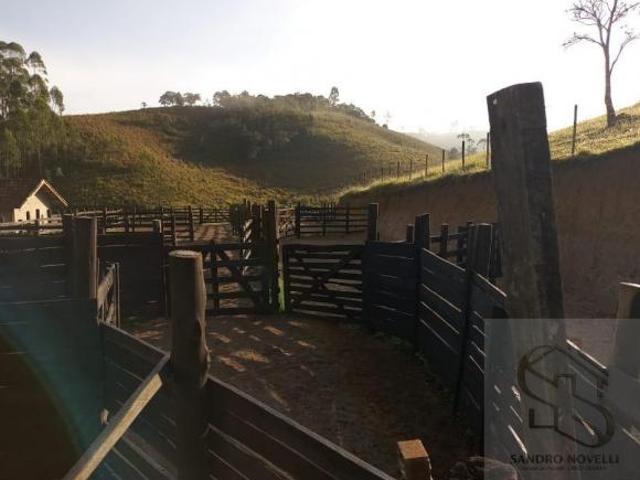 Fazenda para Venda em Natividade da Serra, Bairro Alto