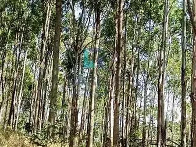 Fazenda para Venda em Natividade da Serra/SP Centro