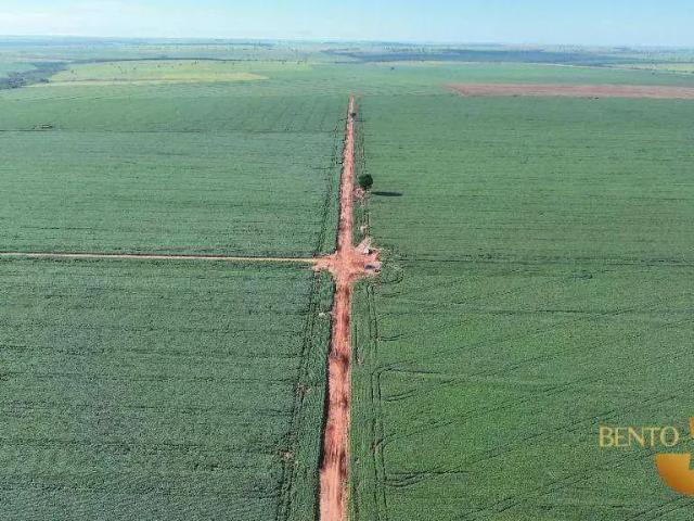 Fazenda para Venda em Naviraí/MS Zona Rural