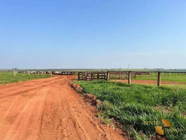 Fazenda para Venda em Naviraí/MS Zona Rural