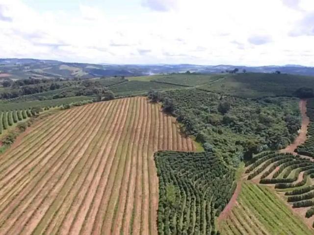 Fazenda para Venda em Nepomuceno/MG Centro