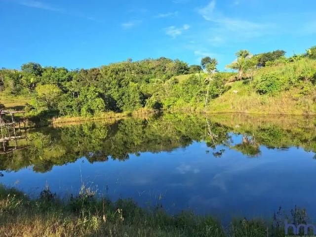 Fazenda para Venda em Niquelândia/GO Zona Rural
