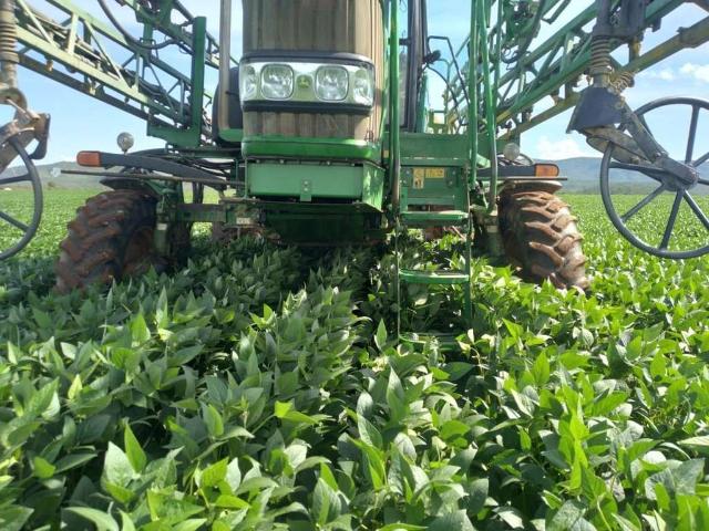 Fazenda para Venda em Niquelândia/GO Zona Rural 8 Quartos