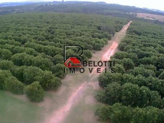 Fazenda para venda em São Manuel