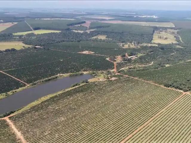 Fazenda para Venda em São Manuel/SP Zona Rural
