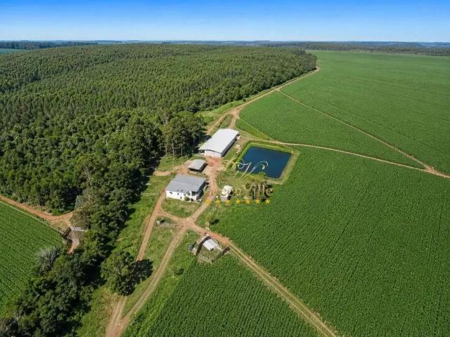 Fazenda para Venda em São Mateus do Sul/PR Zona Rural 5 Quartos