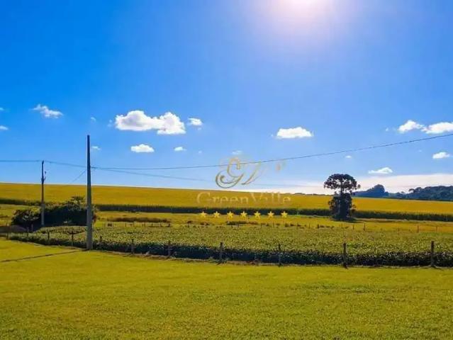 Fazenda para Venda em São Mateus do Sul/PR Colônia Taquaral 5 Quartos