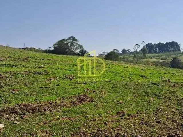 Fazenda para Venda em São Miguel Arcanjo/SP Centro 3 Quartos