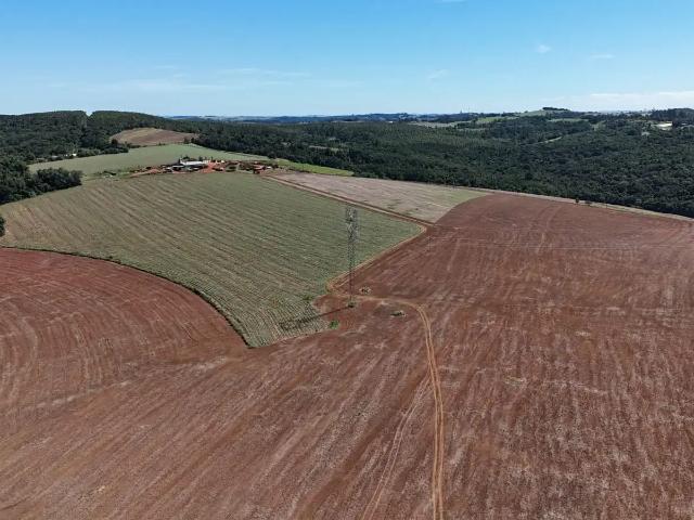 Fazenda para Venda em São Miguel Arcanjo/SP Da Bandeira Lavrinha