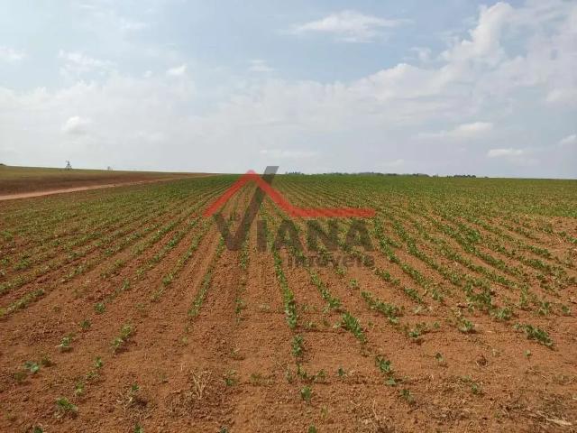 Fazenda para Venda em São Miguel Arcanjo/SP Zona Rural