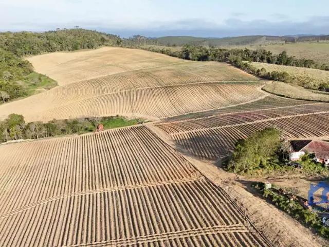 Fazenda para Venda em São Miguel Arcanjo/SP Zona Rural 1 Quartos