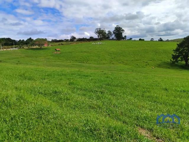 Fazenda para Venda em São Miguel Arcanjo/SP Zona Rural 1 Quartos