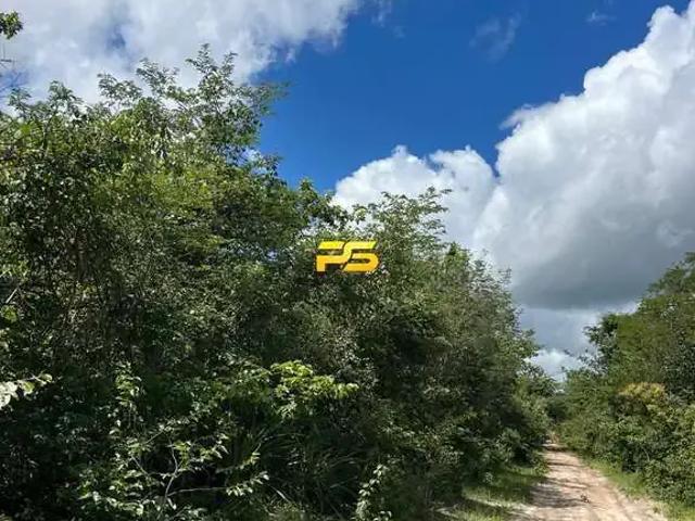 Fazenda para Venda em São Miguel do Tapuio/PI Zona Rural