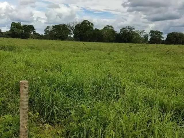 Fazenda para Venda em São Miguel do Araguaia/GO Centro