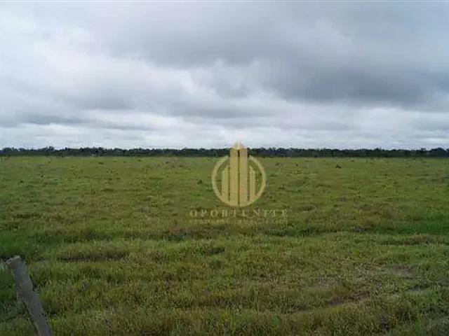 Fazenda para Venda em São Miguel do Araguaia/GO Centro 9 Quartos