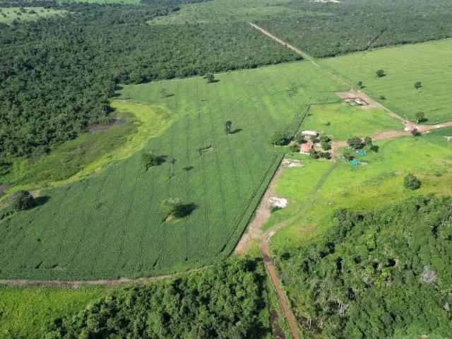 Fazenda para Venda em São Miguel do Araguaia/GO Zona Rural