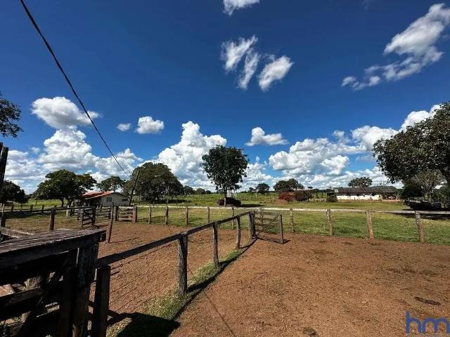 Fazenda para Venda em São Miguel do Araguaia/GO Zona Rural
