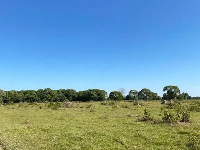 Fazenda para Venda em São Miguel do Araguaia/GO Zona Rural