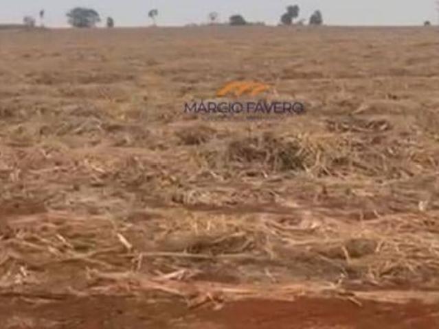 Fazenda para venda em São Carlos