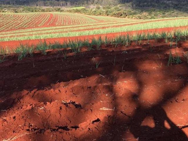 Fazenda para venda em São Carlos