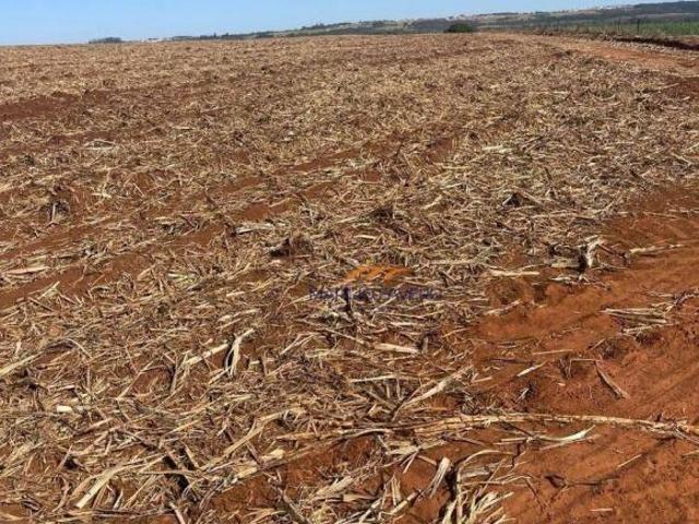 Fazenda para venda em São Carlos