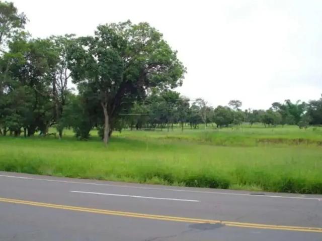 Fazenda para Venda em São Carlos/SP Área Rural de São Carlos
