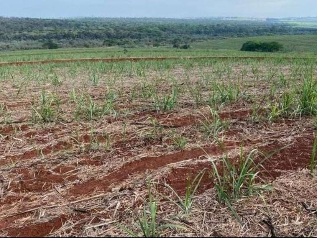 Fazenda para Venda em São Carlos/SP Área Rural de São Carlos 1 Quartos