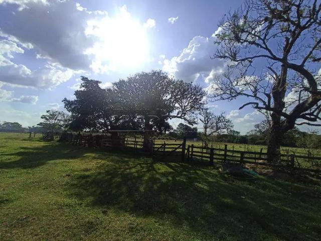 Fazenda para Venda em São Carlos/SP Loteamento Tutoya do Vale